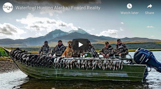 Waterfowl Hunting Alaska - Fowled Reality Fowl Hound