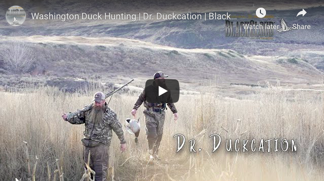 Video: Duck Hunting in Washington Fowl Hound