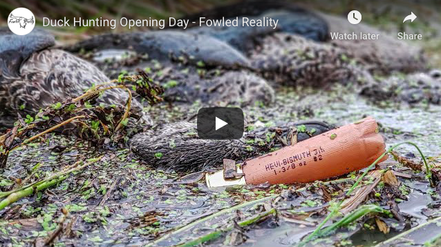 Video: Duck Hunting Opening Day in Nebraska Fowl Hound