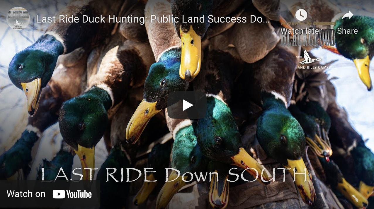 Show: Public Land Duck Hunting in the South Fowl Hound