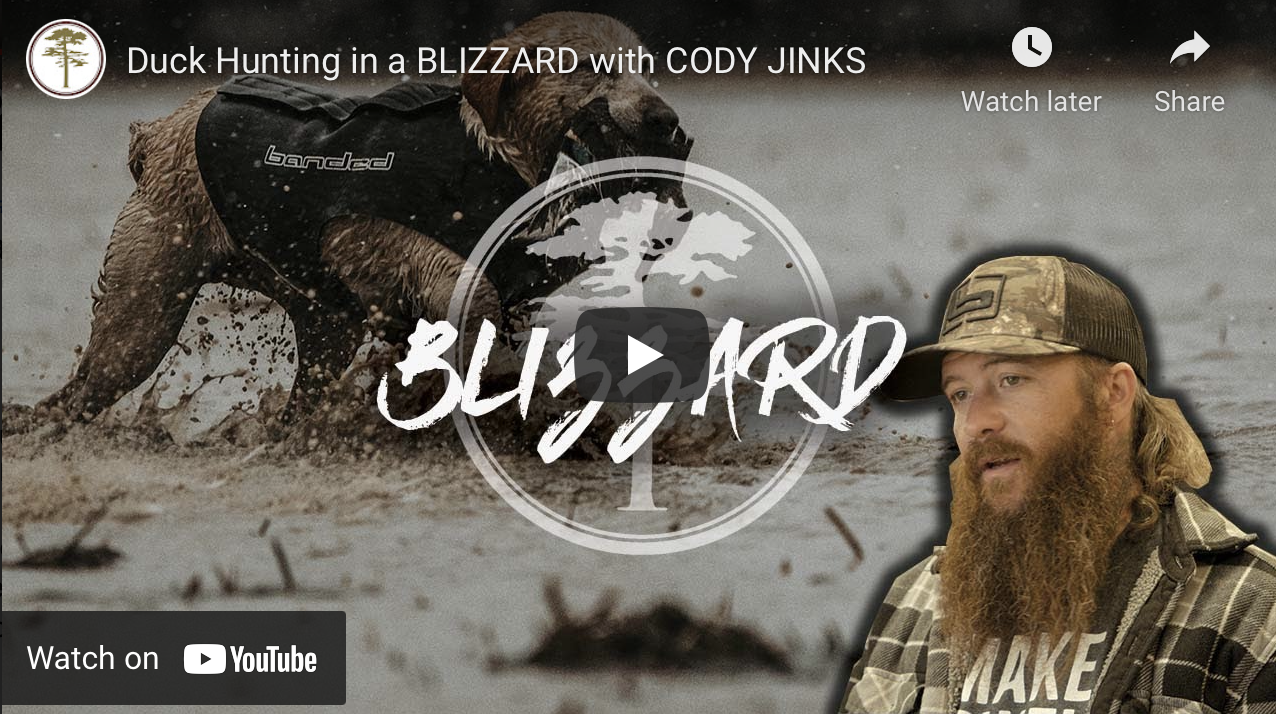 Video: Duck Hunting in a Blizzard Fowl Hound