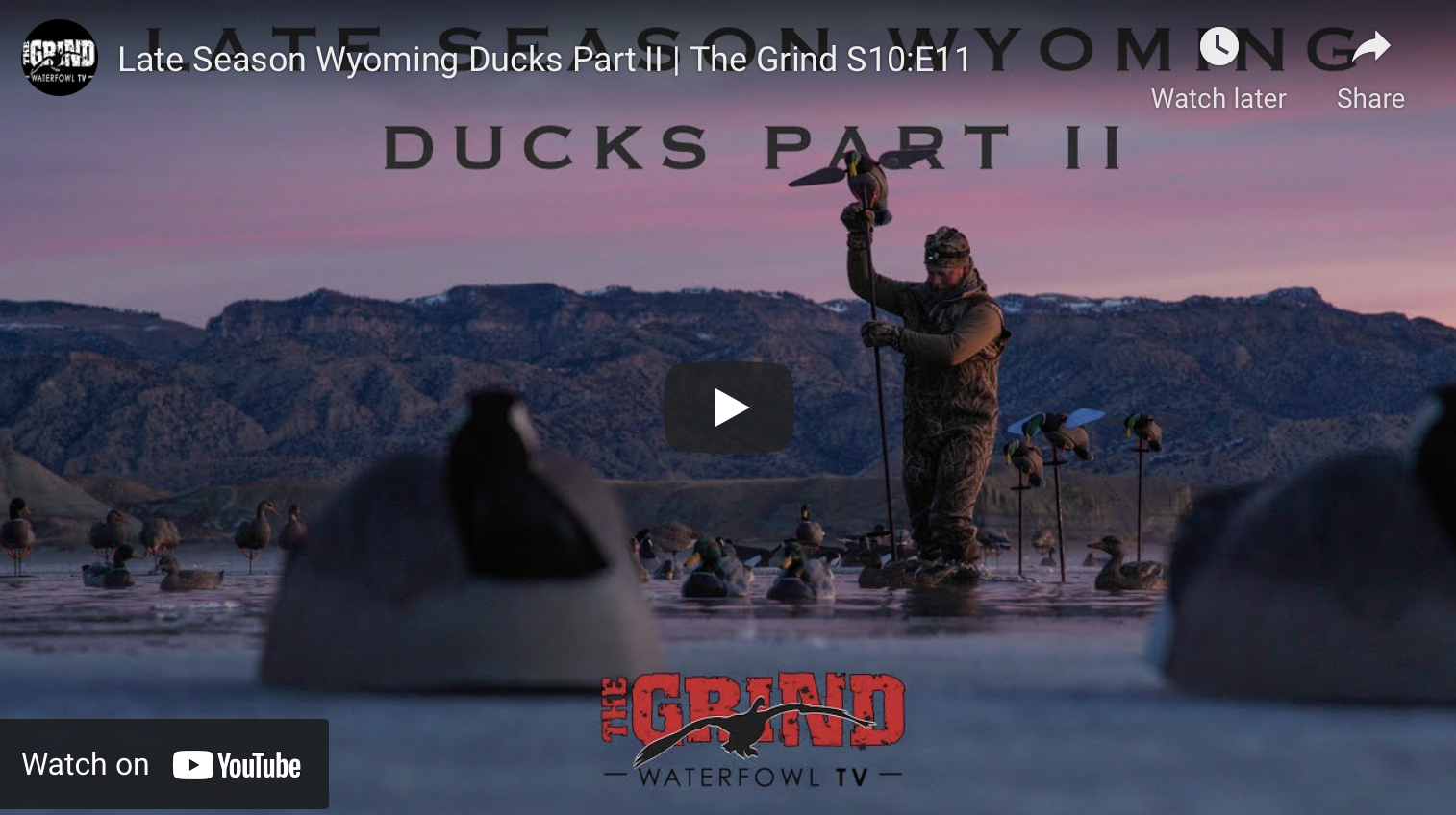 Show: Late Season Duck Hunting in Wyoming (Part 2) Fowl Hound