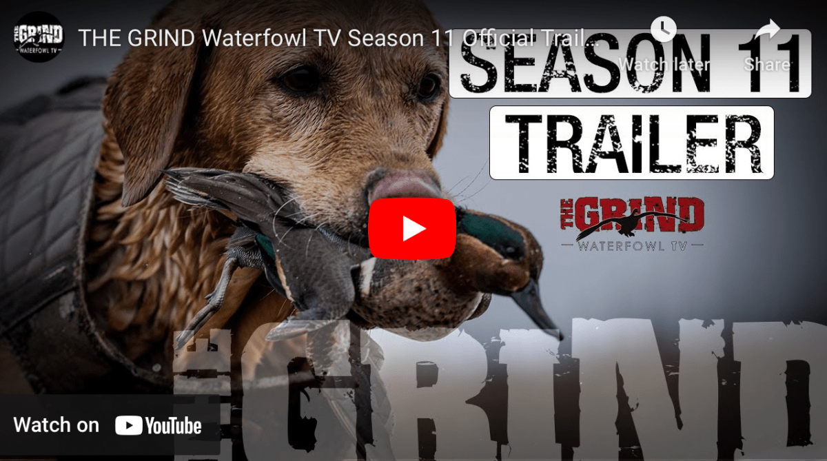 Trailer: The Grind Waterfowl TV Season 11 – Fowl Hound