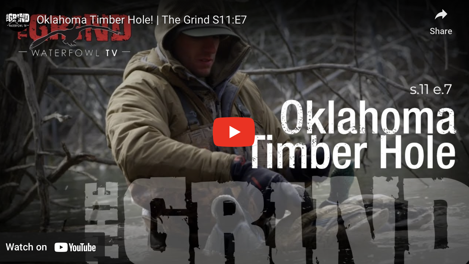 Video: Duck Hunting in the Oklahoma Timber Fowl Hound