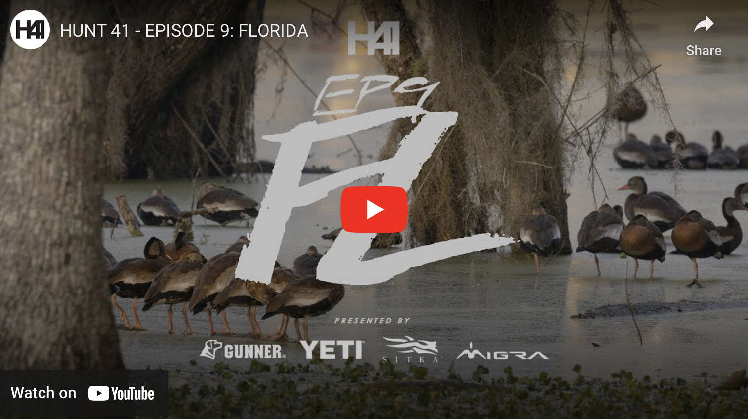 Video: Waterfowl Hunting in Florida with Hunt 41 Fowl Hound