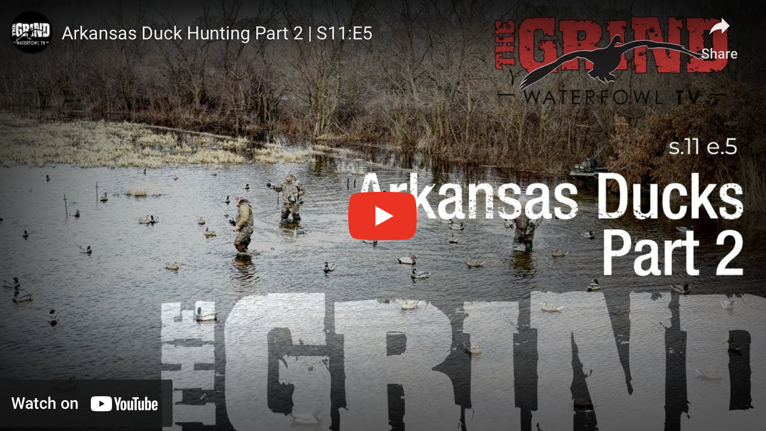 Show: Duck Hunting in Arkansas (Part 2) Fowl Hound