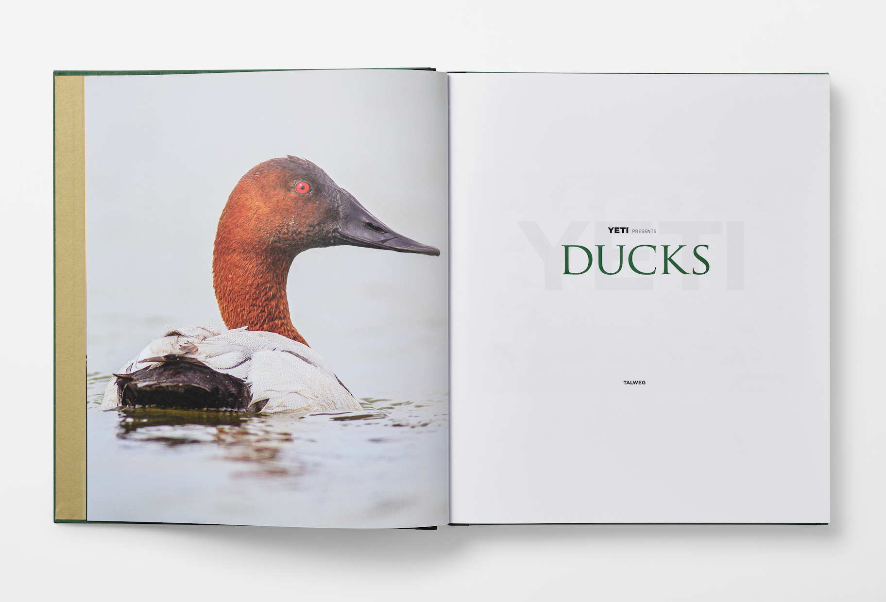 Book Review: DUCKS from YETI Fowl Hound