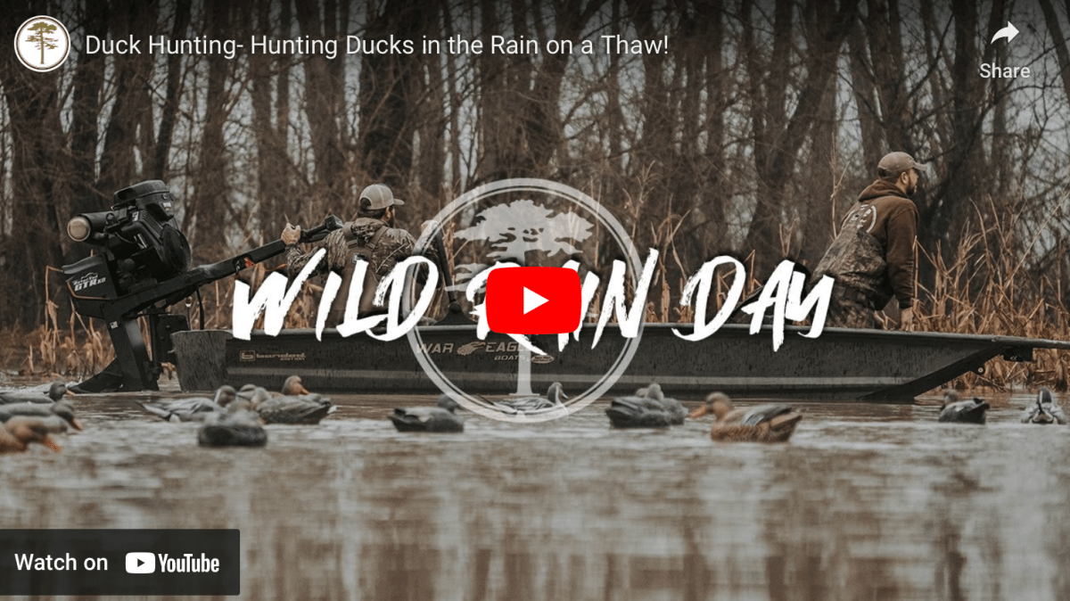Video: A Rainy Duck Hunt in Missouri – Fowl Hound