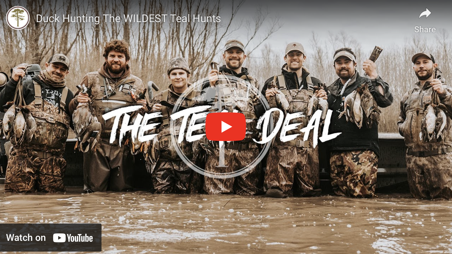 Video: A Wild Teal Hunt Fowl Hound