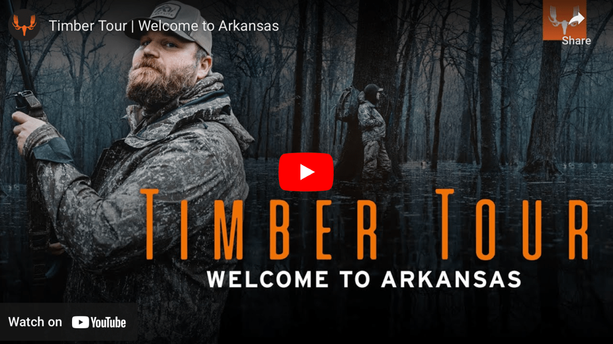 Video: Timber Tour — Welcome to Arkansas – Fowl Hound