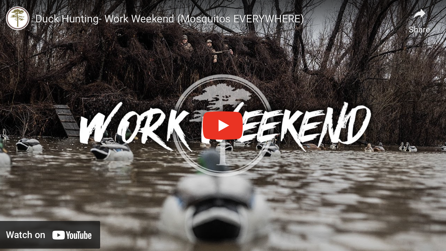 Video: Getting Ready for Duck Season Fowl Hound