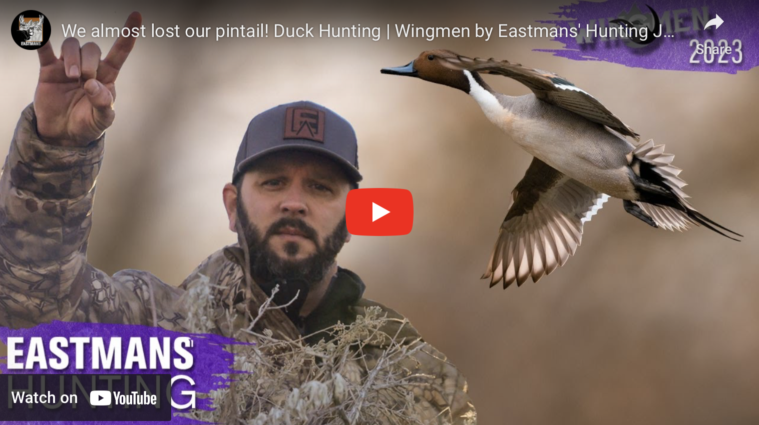 Video: A Family Duck Hunt Fowl Hound