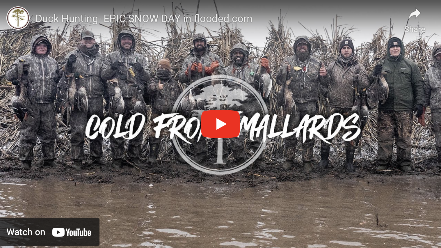 Video: A Big Day of Hunting Mallards in Missouri Fowl Hound