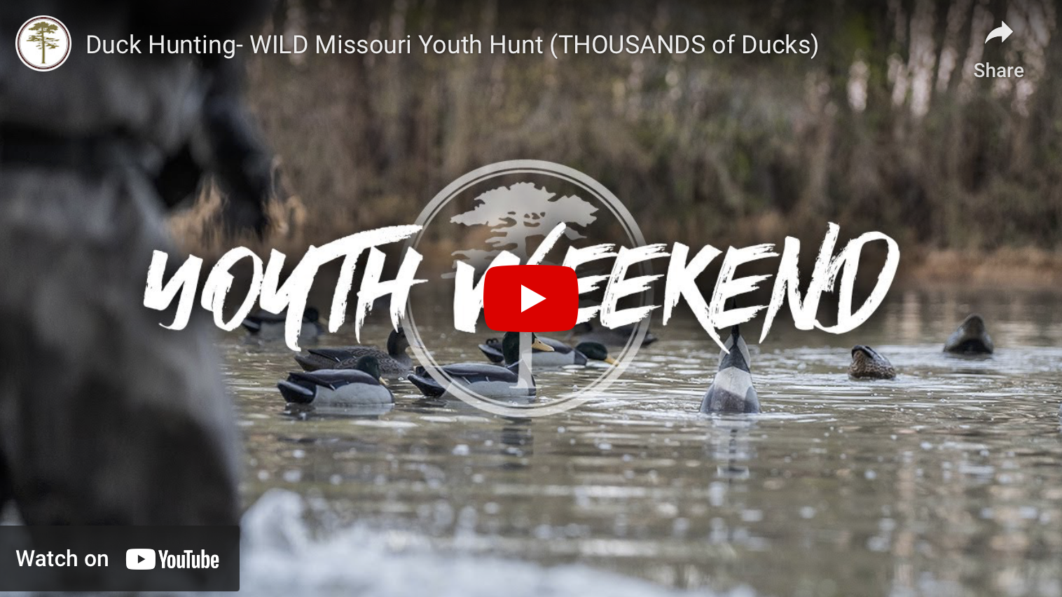 Video: Thousands of Ducks for a Youth Weekend Hunt Fowl Hound